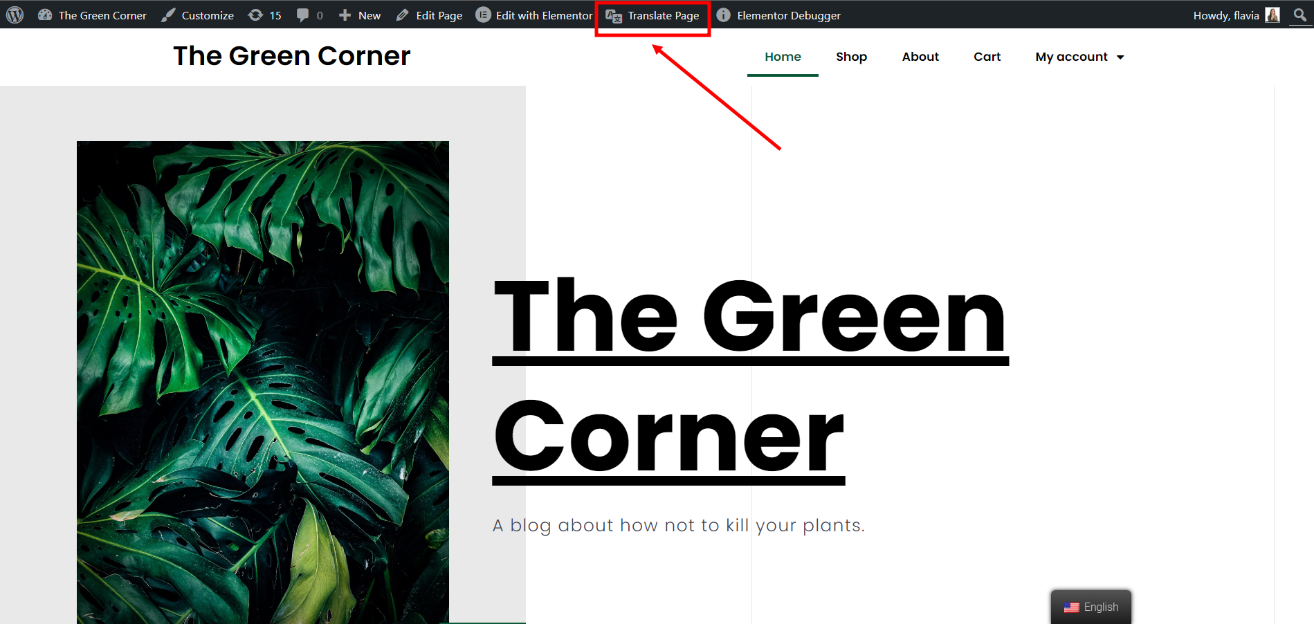 How to Translate WordPress Menu into Multiple Languages - TranslatePress