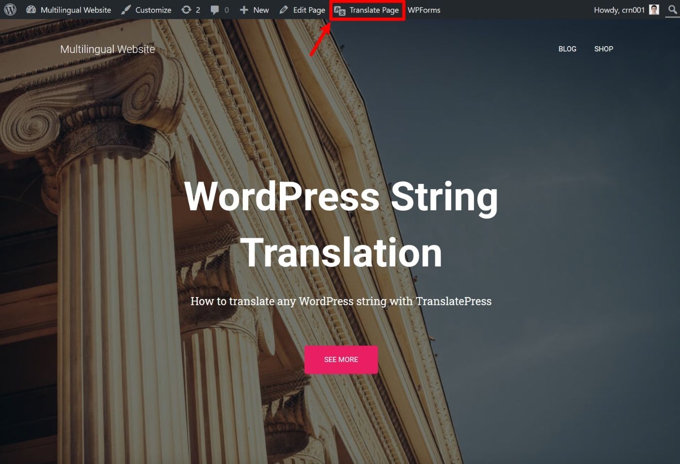 WordPress String Translation: Tutorial & Easiest Plugin for Any String
