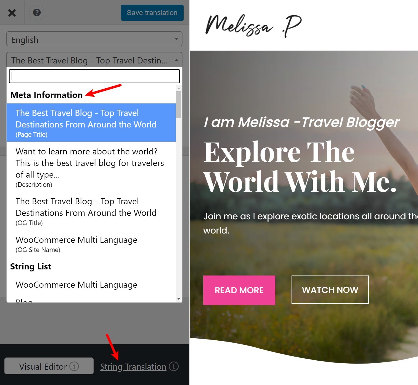 WordPress Multiple Languages: Tools and Tutorial to Get Started