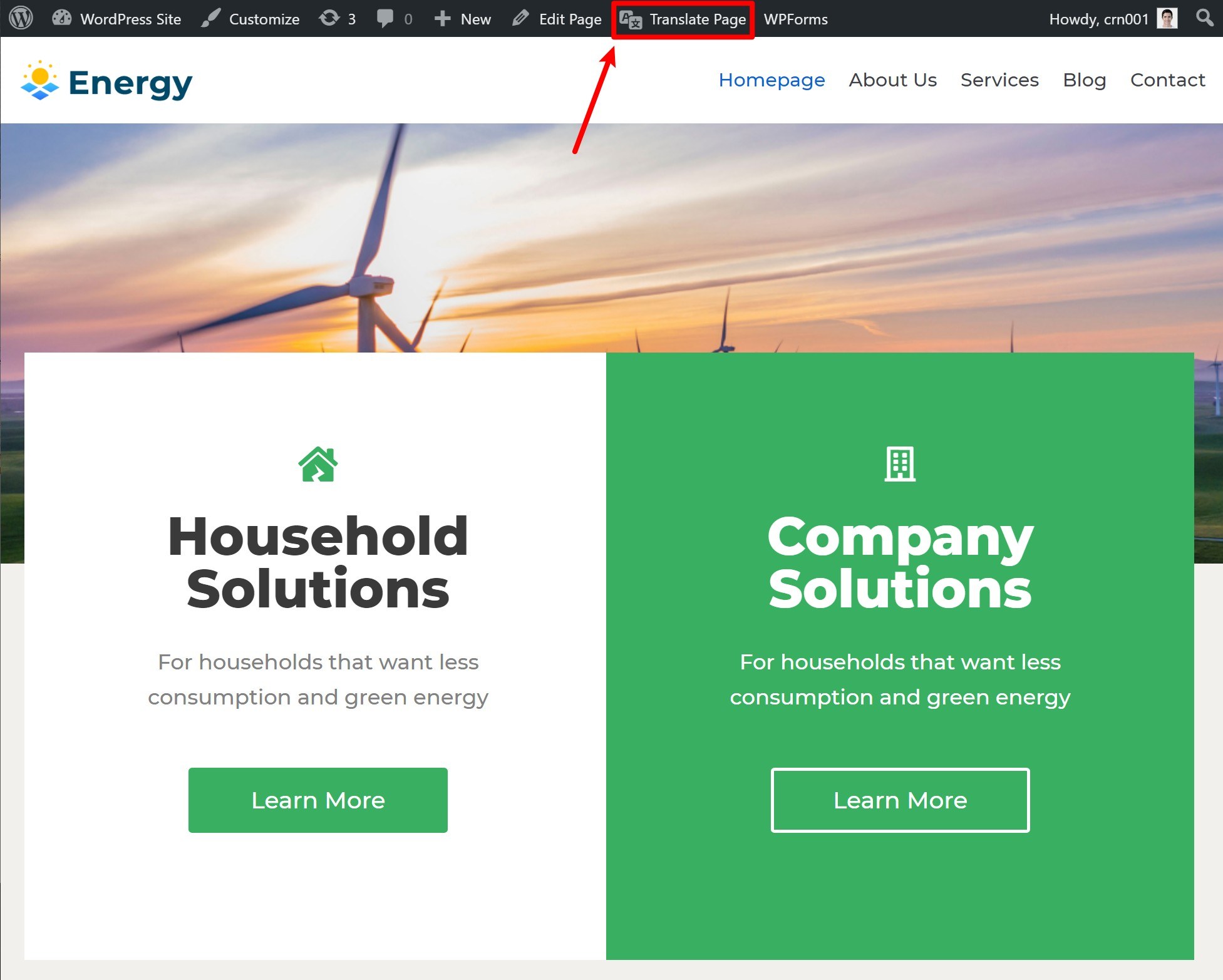 What Is a Translation Management System? How to Use On WordPress