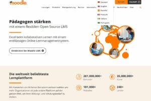 10+ Real Multilingual Website Examples (+ How to Create Your Own)