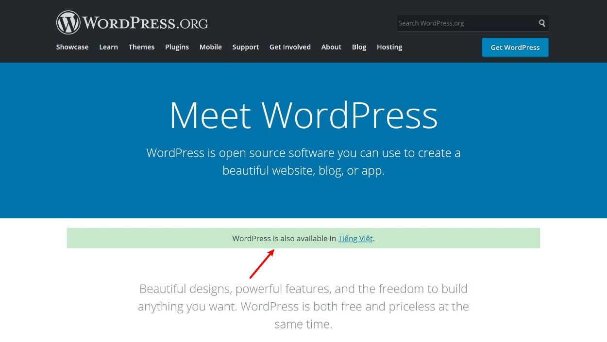 10+ Real Multilingual Website Examples (+ How to Create Your Own)